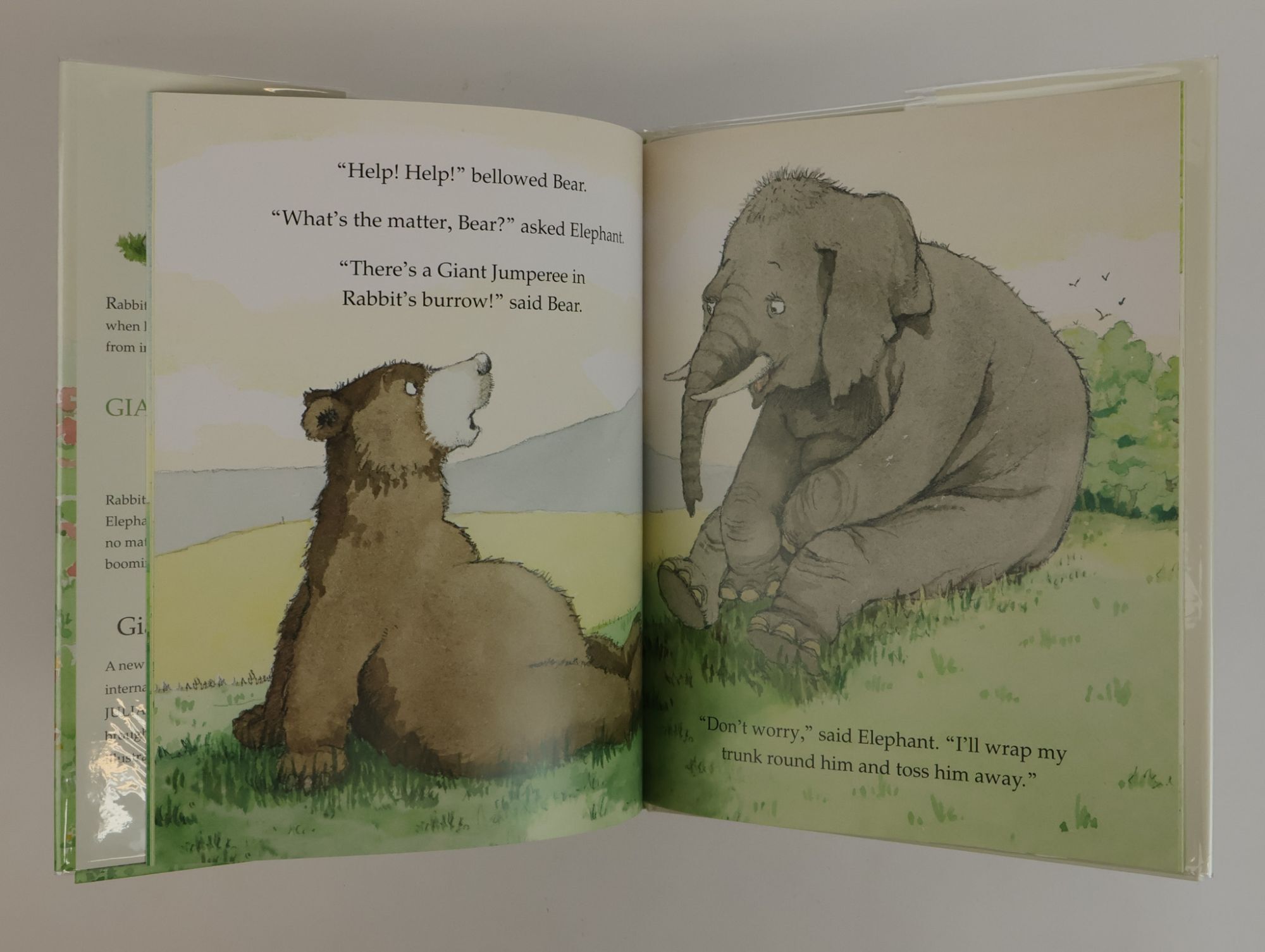 THE GIANT JUMPEREE Signed | Julia Donaldson, Helen Oxenbury | First UK ...