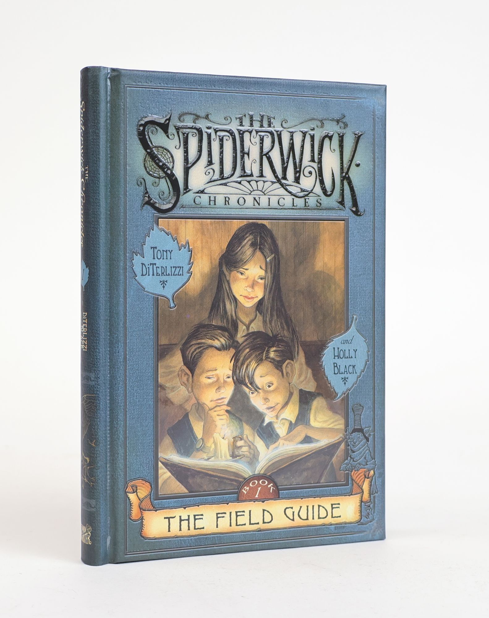 THE SPIDERWICK CHRONICLES AND BEYOND THE FIELD GUIDE, THE SEEING STONE ...